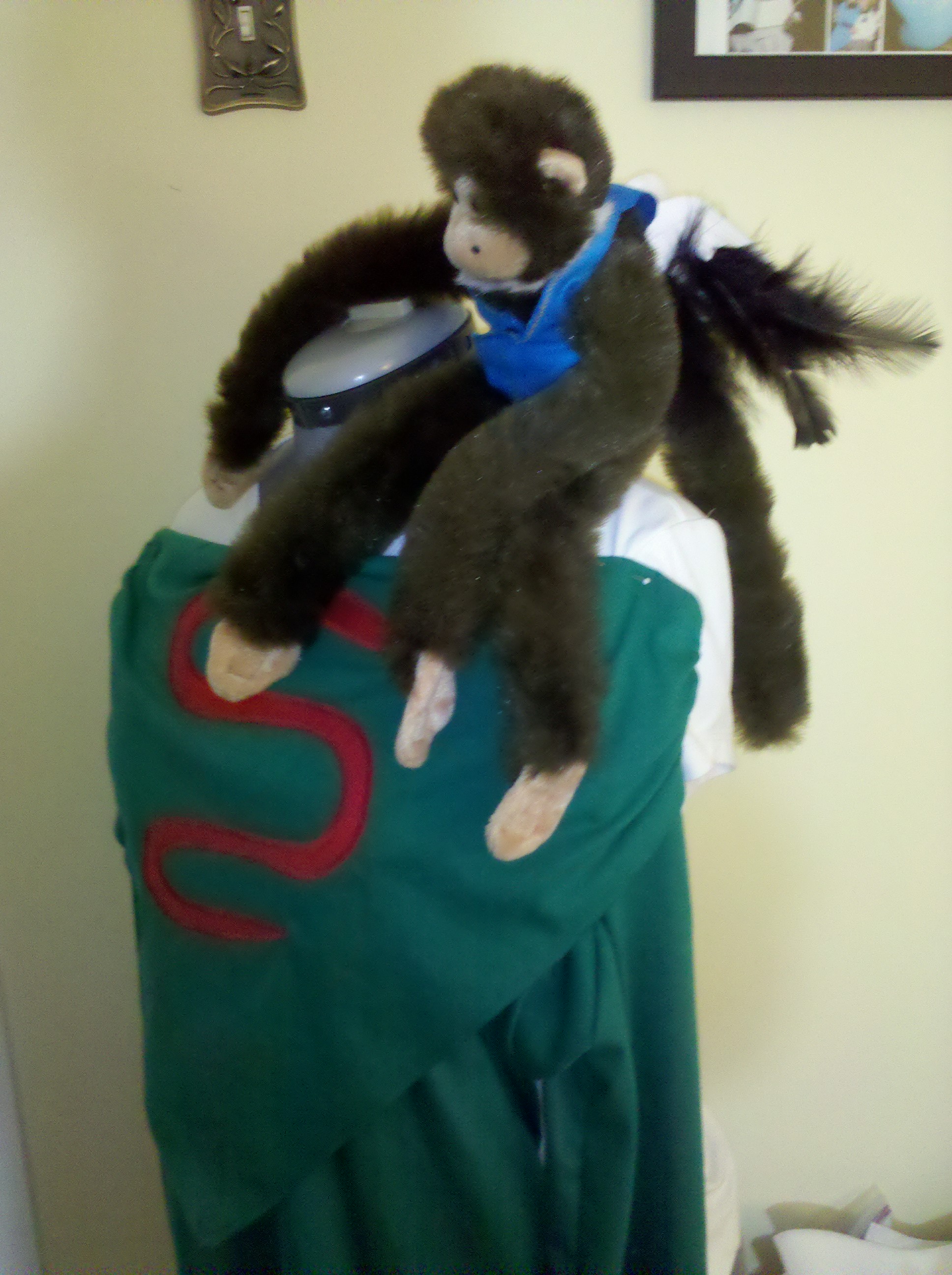 Cyclone Costume finished with monkey – Amber Unmasked